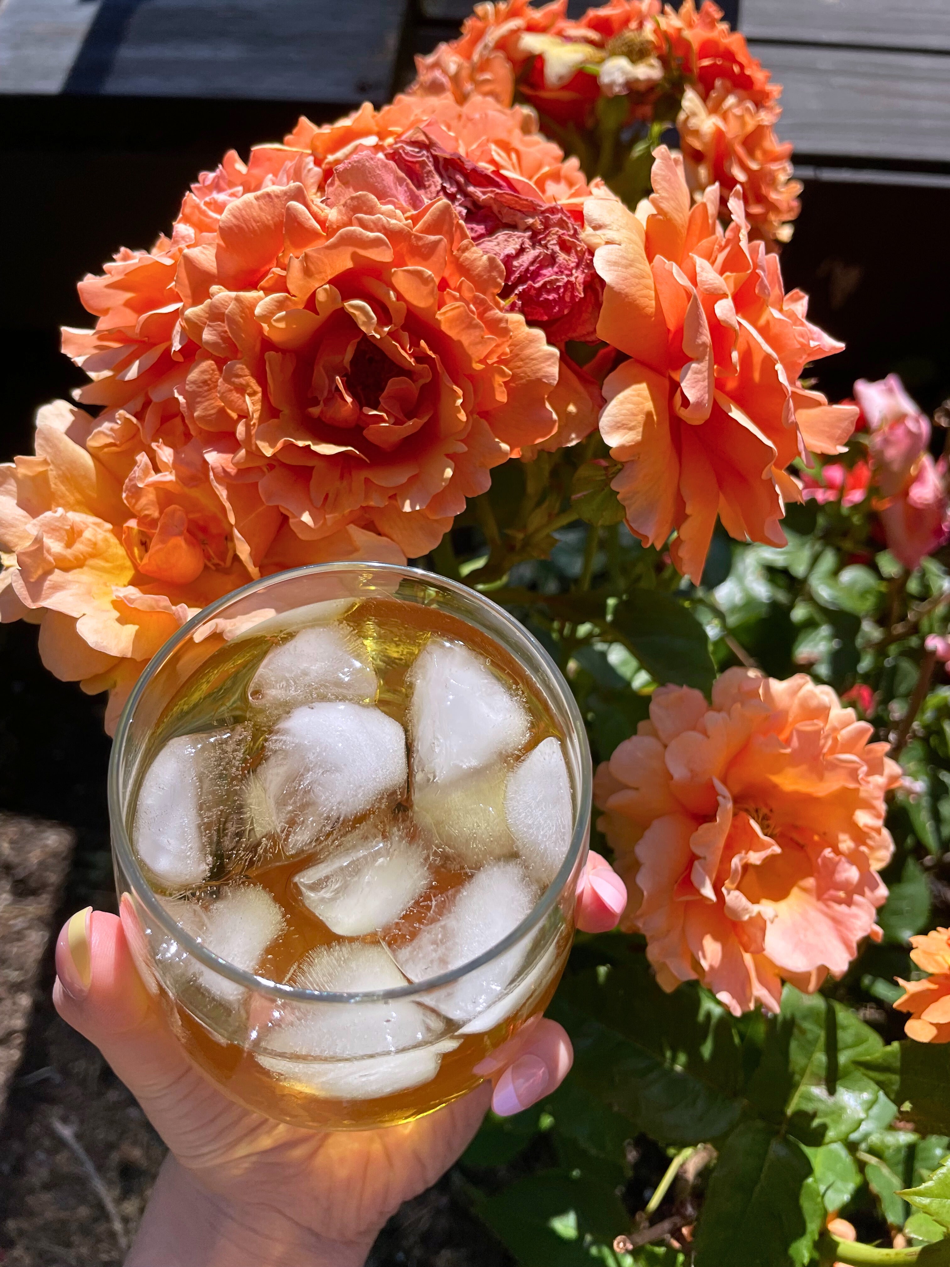 Welcome to Island Elixir – Island Elixir Tea Company